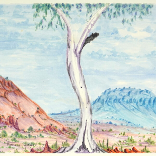 Gallery - Iltja Ntjarra Many Hands Art Centre